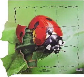 Just Jigsaws 602 Beruška a její životní cyklus - dřevěné vrstvené puzz