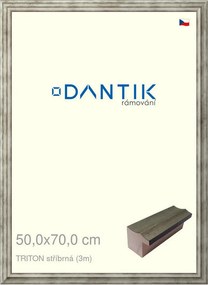 DANTIK rámeček 50x70 | TRITON stříbrná (Plexi Čiré)
