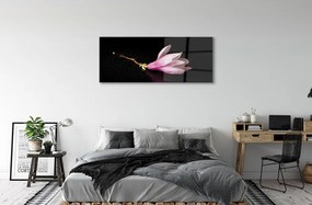 akrylový obraz květina voda 120x60 cm