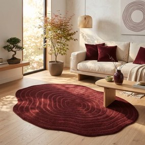 Vínový koberec 160x230 cm Pebble – ESTE