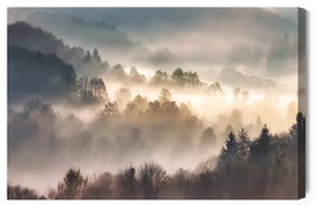 Obraz Mist In Forest With Sunbeam Rays, Woods Landscape Nedostatek Nedostatek Plátno Canvas 30x20