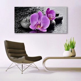 Plexisklo-obraz Orchidej Květiny Kameny Zen 120x60 cm