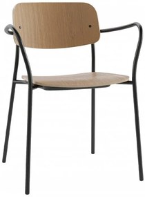 COLOS - Židle s područkami DAILY 2