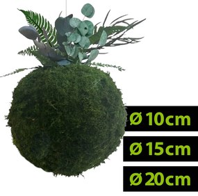 Závěsná kokedama ze stabilizovaného mechu a rostlin | tmavě zelená Průměr koule: 20 cm