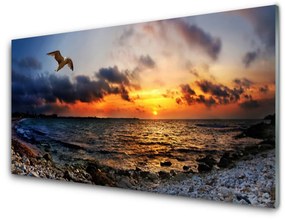 Obraz na skle Racek Moře Pláž Krajina 140x70 cm