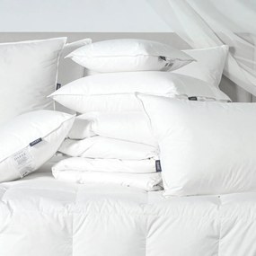Péřový polštář TRIO COMFORT Velikost: 50 x 60