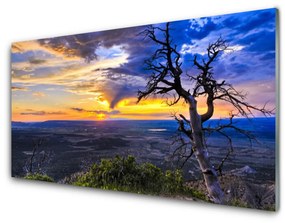 Obraz na skle Strom Zápas Slunce 125x50 cm