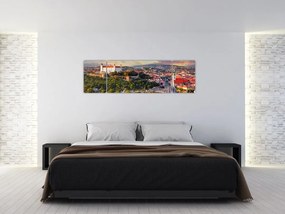 Obraz - Panorama Bratislavy, Slovensko (170x50 cm)