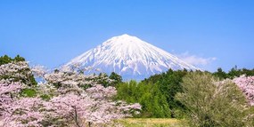 Obraz hora Fuji Varianta: 100x50