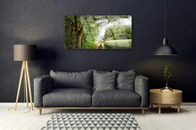 akrylový obraz Stromy Stezka Příroda 100x50 cm
