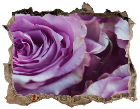 Wallmuralia Fototapeta nálepka na zeď Fialové růže 95x64 cm