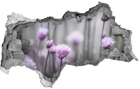 Wallmuralia Samolepící díra nálepka Květy pažitky 95x73 cm