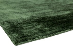 Zelený  koberec Jethro Green Rozměry: 160x230 cm