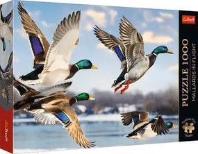 TREFL Puzzle Premium Plus Let divokých kachen / 1000 dílků / 68,3 x 48