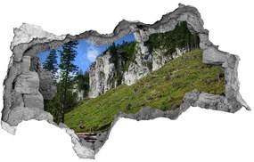 Wallmuralia Díra 3D ve zdi nálepka Štíty hor 95x73 cm