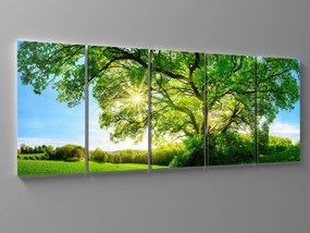 Liox Obraz strom přání Rozměr: 200 x 80 cm