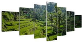 Obraz rýžových teras Tegalalang, Bali (210x100 cm)