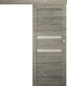 posuvné interiérové dveře na stěnu vasco doors EVORA model 3 Průchozí rozměr: 70 x 197 cm, Orientace dveří: Levé dveře, Dekor: Dub stříbrný