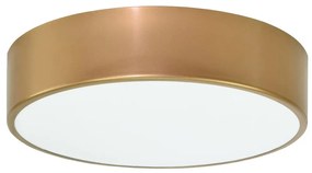 Temar | Koupelnové stropní svítidlo CLEO 2xE27/24W/230V pr. 30 cm zlatá IP54 | TM0033
