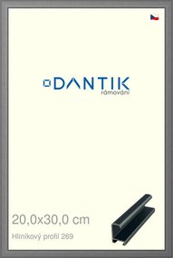 DANTIK rámeček 20x30 | ALU profil 7269 Platina matná (Sklo Čiré)