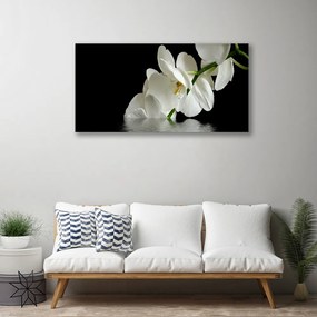 Obraz na plátně Orchidej ve Vodě Květiny 140x70 cm