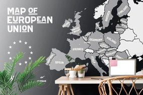 Samolepící tapeta černobílá mapa s názvy zemí EU - 150x100 cm