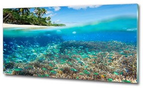 Wallmuralia Fotoobraz na skle Korálový útes 100x50
