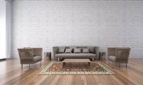 Berfin Dywany, Kusový koberec Anatolia 5378 V (Vizon), 70x100, hnědá, kancelář