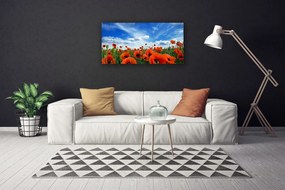 Obraz na plátně Louka Máky Květiny 140x70 cm