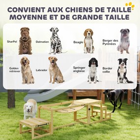 Tréninkové vybavení pro psy PawHut, 3dílná sada agility, měkký most, platforma pro odpočinek, schody, masivní dřevo, přírodní dřevo | Aosom