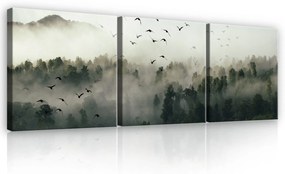 Postershop Obraz na plátně: Mlžný les - set 3ks 25x25cm