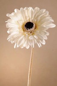 Paramit GERBERA Aranžovací květina bílá 53 cm