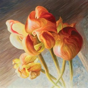 Tulipán III - 20 x 20 cm