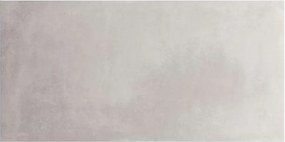EBS Essen - Dlažba 45x90 cm, ash ESS4590A