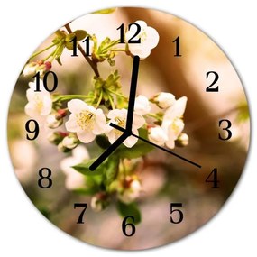 Nástěnné hodiny obrazové na skle - Květy Jabloně