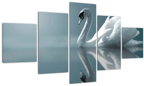 Obraz - Bílá labuť (125x70 cm)