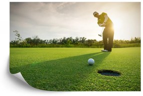 Fototapeta Golfista W. Vliesová tapeta 360x240