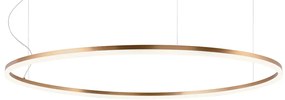 Redo group Redo Orbit direct, závěsné kruhové svítidlo, 76W LED 4000K DALI, bronz, prům. 120cm