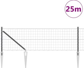 Evropský plot se hroty 25 x 0,6 m Ocel potažená PVC Šedá 3350710