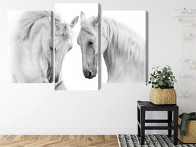 Vícedílný obraz Dva Koně Na Bílém Pozadí Nedostatek Nedostatek Přírodní plátno 60x40