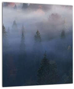 Obraz - Les v mlze, Karpaty, Ukrajina (30x30 cm)