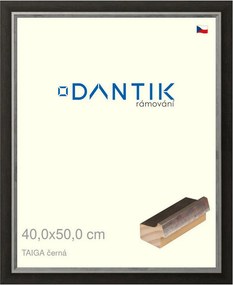 DANTIK rámeček 40x50 | TAIGA černá (Plexi Čiré)