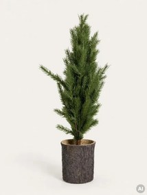 Vánoční stromek PICEA 000699