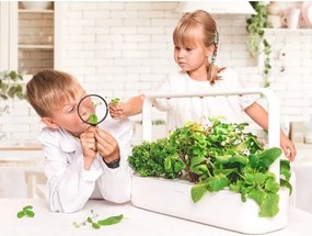 Click and Grow Smart Garden 9 chytrý květináč + 9ks kapslí se semínky bílý