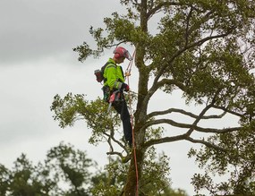 Akumulátorová řetězová pila CRAMER 82TCS15 (Dodáváno bez baterie a nabíječky)