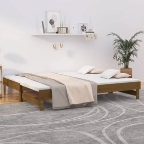 Výsuvná postel medově hnědá 2x(100x200) cm masivní borovice,  823377