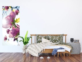 Vliesová fototapeta na zed' Květy Magnolie | 202 x 90 cm | DFTNV2873