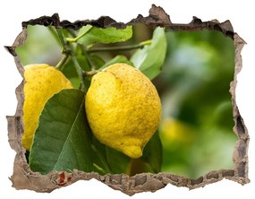 Wallmuralia Samolepící nálepka Citrony na stromě 95x64 cm