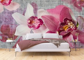 Fototapeta na míru Smyslné Orchideje | Vliesová fototapeta na zed' | DFTNXXL1148