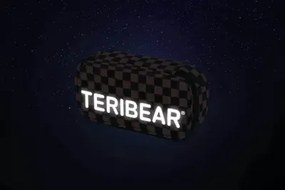 BAAGL Penál etue Skate TERIBEAR / 23×12x5 cm / Bez náplně
